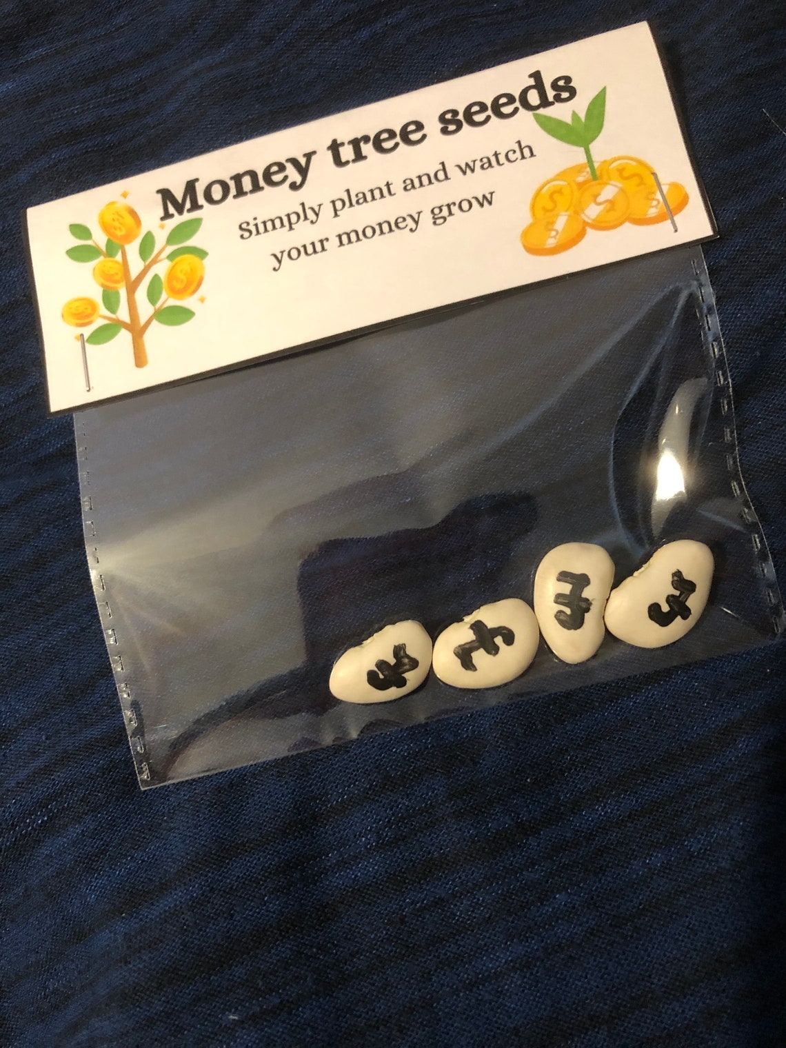 Novelty Money Tree Seeds Gift, Fun & Quirky - Etsy