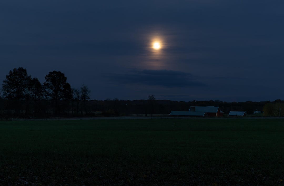 Moon Landscape, Moon Photography, Night Photography, Wildlife Photos ...