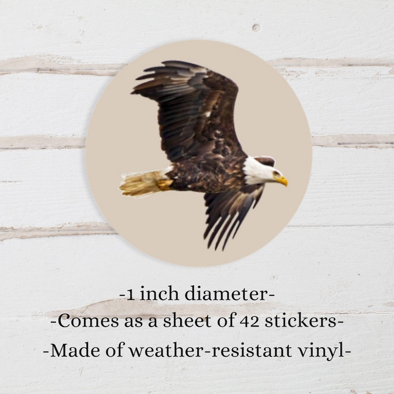 Bald Eagle Sticker Seals for Envelope, Bird Stickers for Envelopes, 1 ...