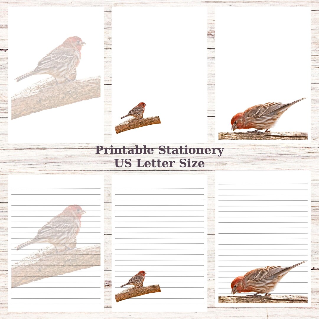 Finch Bird Stationery Digital Paper, Nature Printable Notebook Papers ...