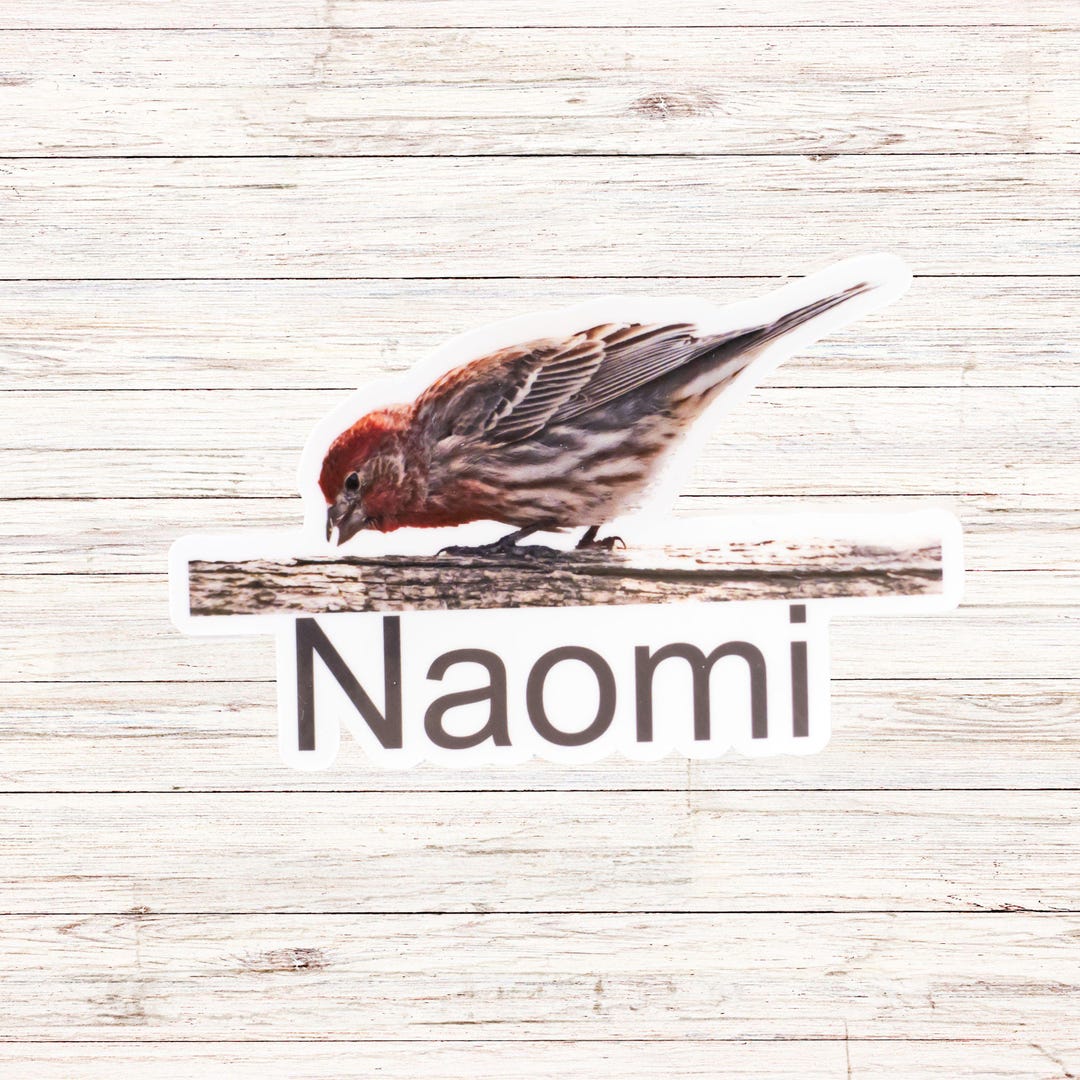 Finch Vinyl Name Stickers for Water Bottles, Waterproof Stickers for ...