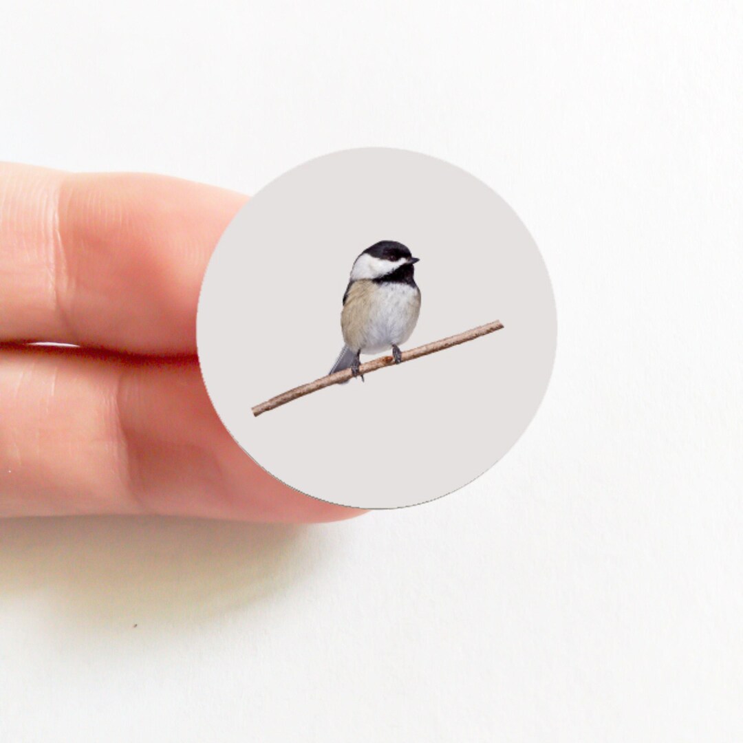Chickadee Sticker Sheet Vinyl, Cute Bird Planner Stickers Aesthetic ...