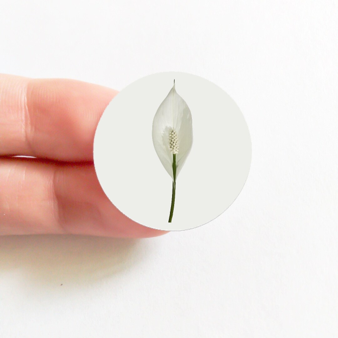 Peace Lily Sticker for Envelopes, White Lilly Sticker, Envelope Sticker ...