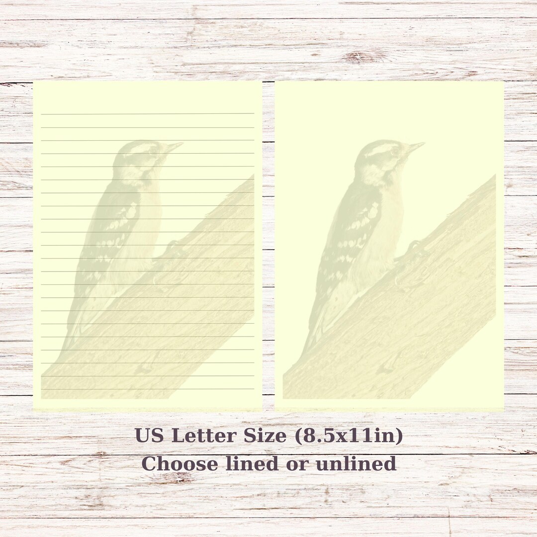 Downy Woodpecker Bird Paper for Note Taking, Lined or Unlined Letter ...