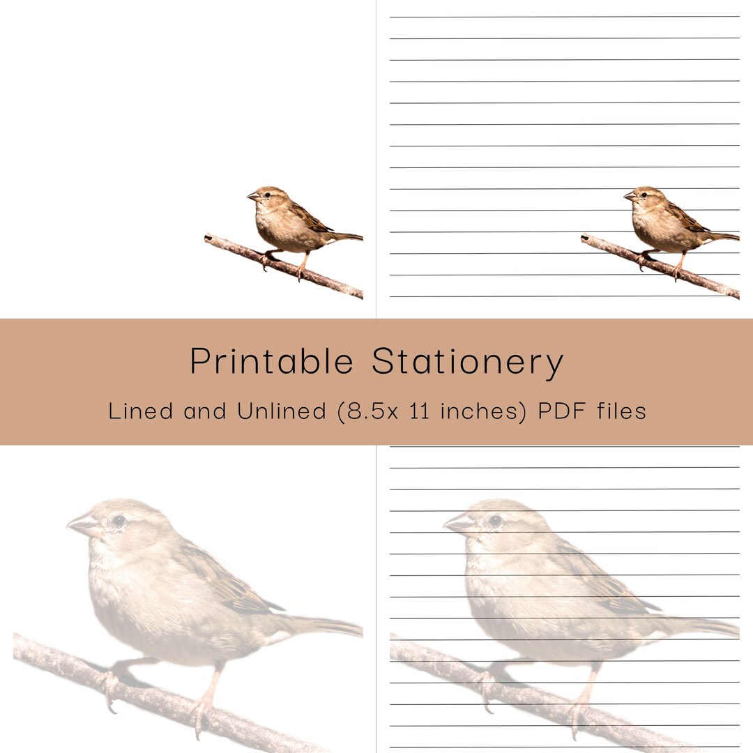 Sparrow Digital Notebook Paper, Printable Stationary Birds With Lines ...