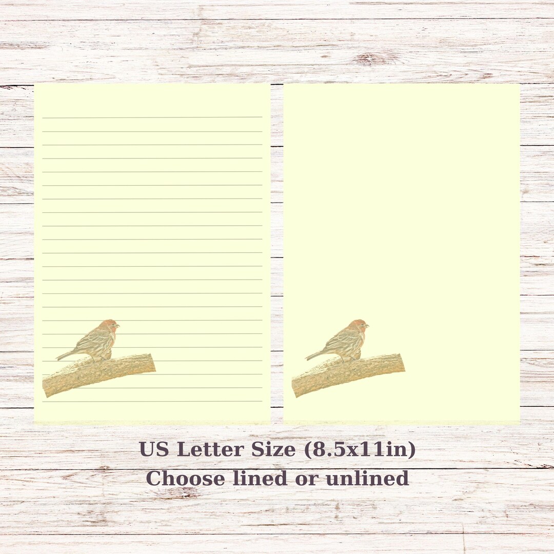 Cute Finch Letter Writing Paper, Bird Stationery for Journal, Unlined ...