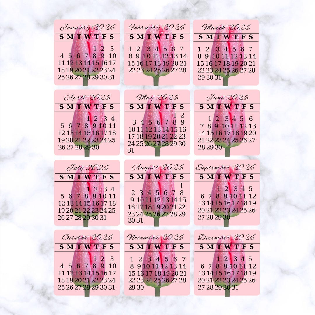 Pink Tulip Small 2026 Calendar Stickers Set, Spring Flower Calendar ...