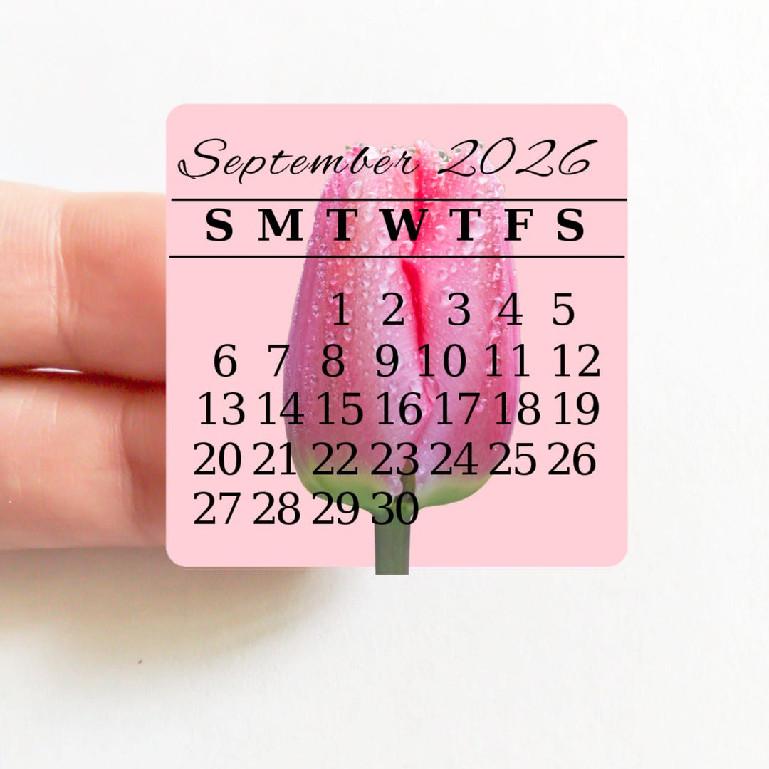 Pink Tulip Monthly Calendar Stickers 2026, Yearly Stickers Sheet ...
