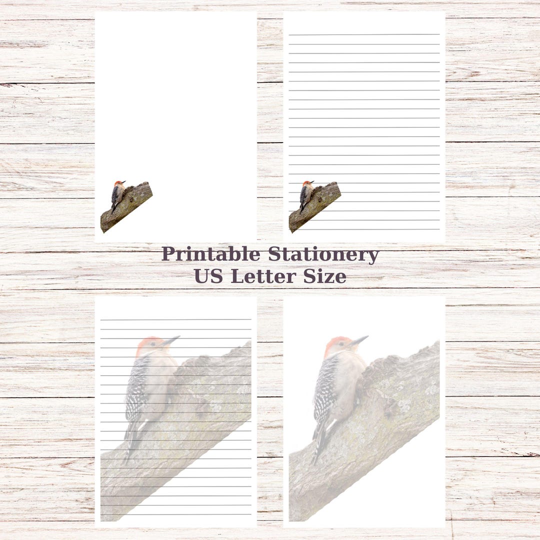 Woodpecker Digital Journal Pages, Bird Digital Paper Lines, Nature ...