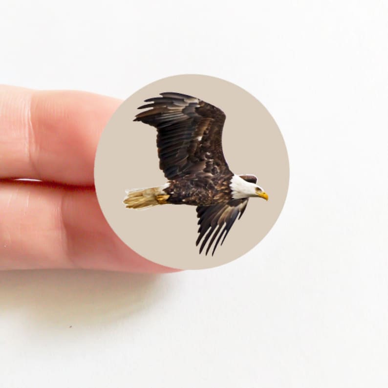 Bald Eagle Sticker Laptop, Birding Sticker Sheet, Journal Stickers ...