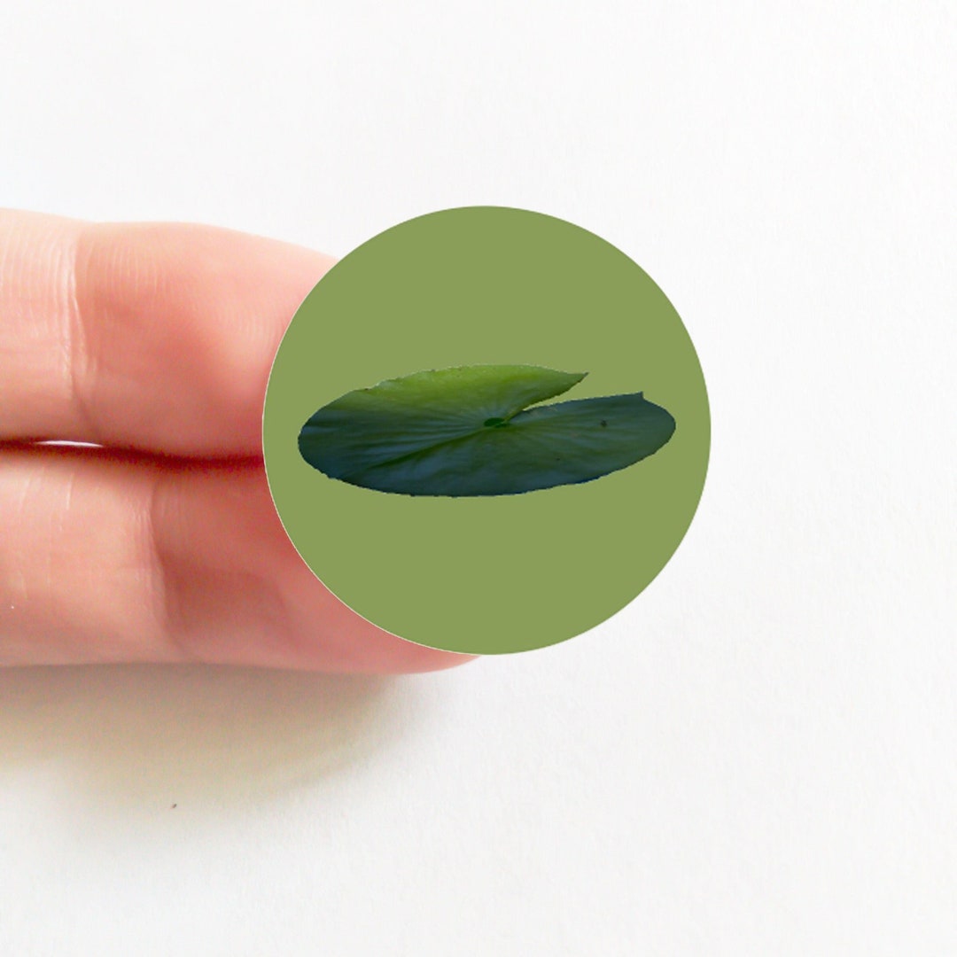 Lily Pad Stickers for Envelopes, Envelope Sticker Seals for Envelopes ...