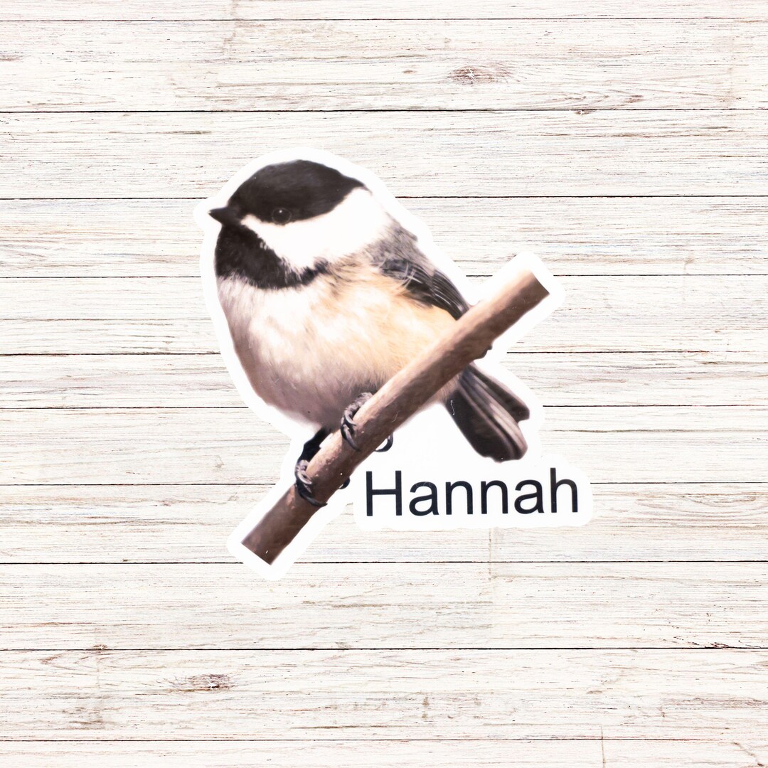 Chickadee Vinyl Name Sticker for Kids, Cute Bird Waterbottle Stickers ...