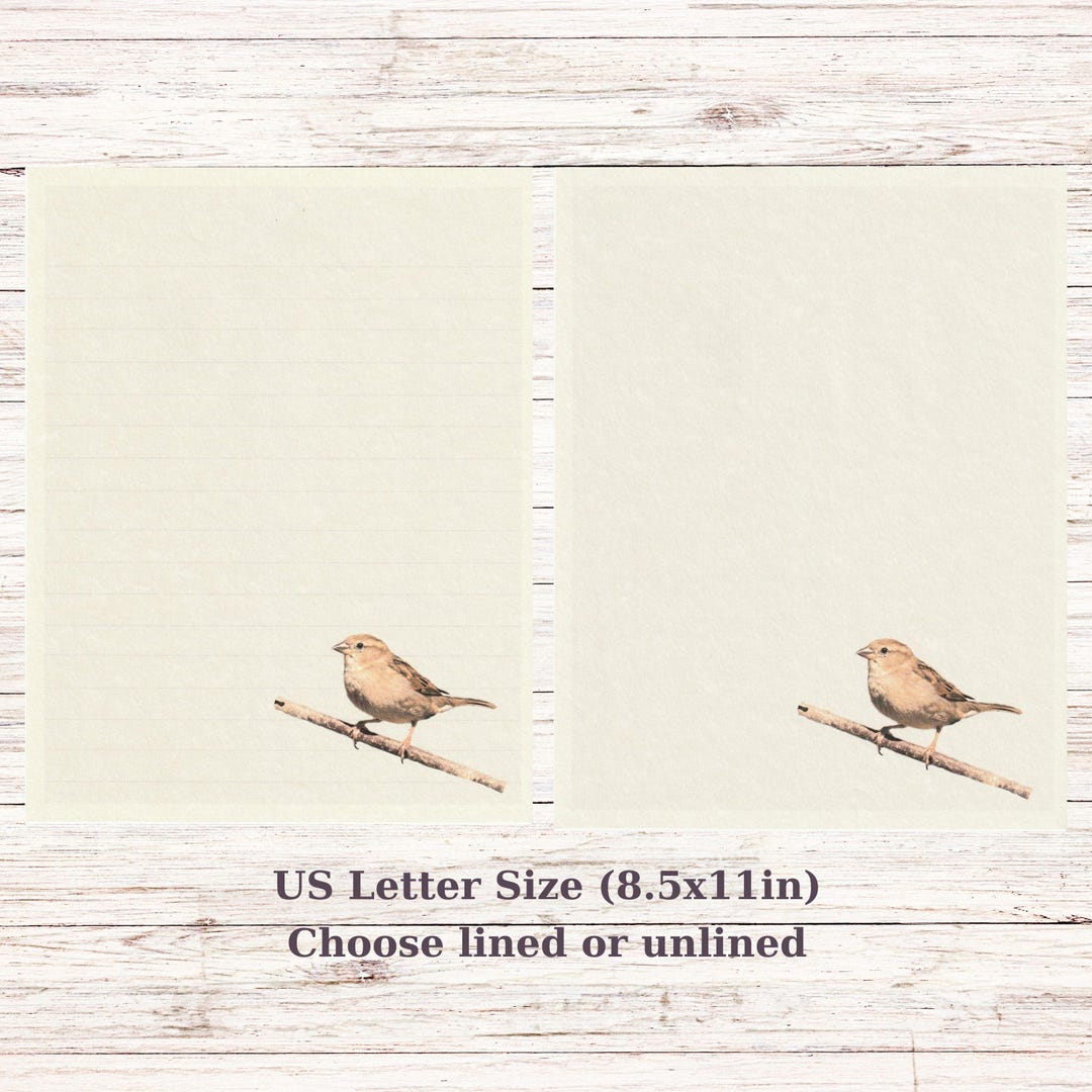 Sparrow Letter Writing Paper, Bird Papers for Letters, Unlined or Lined ...