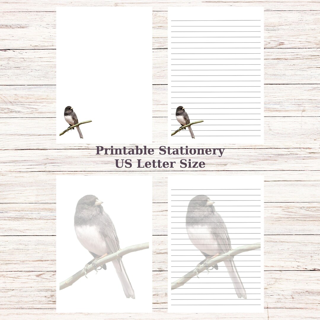 Junco Bird Stationery Set With Lined and Unlined Paper, Nature Themed ...
