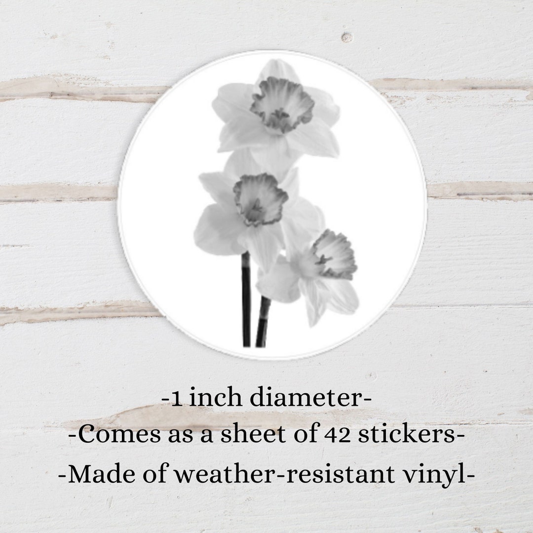 Monochrome Daffodil Seal Stickers, Black and White Narcissus Flower ...