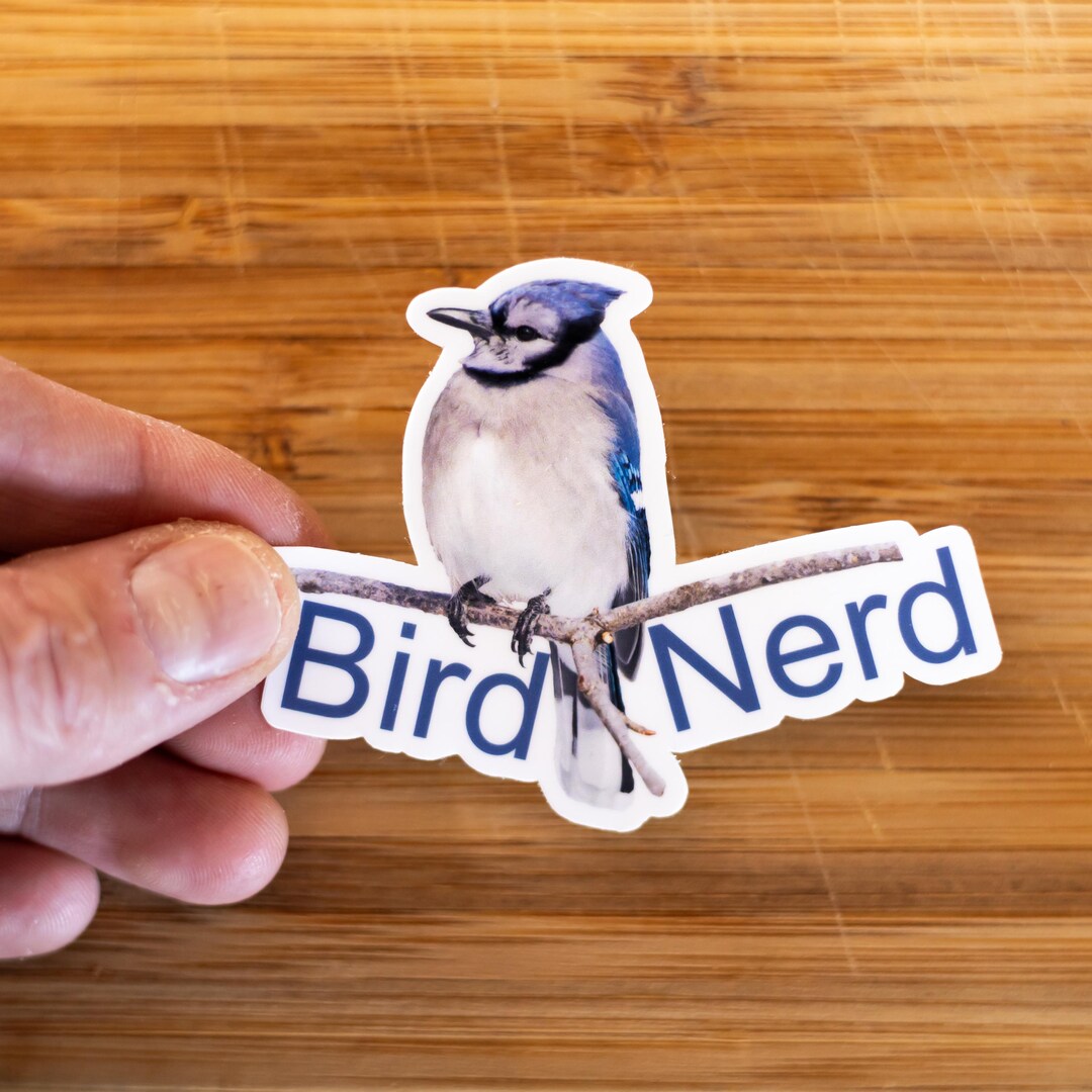 Blue Jay Bird Nerd Sticker, Funny Bird Stickers, Waterproof Sticker for ...