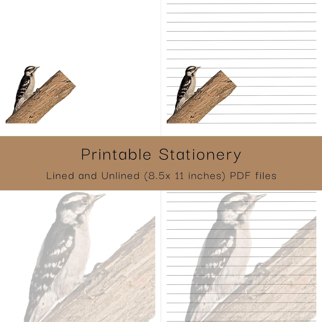 Woodpecker Digital Notebook Paper, Letter Writing Paper Pdf, Writing ...