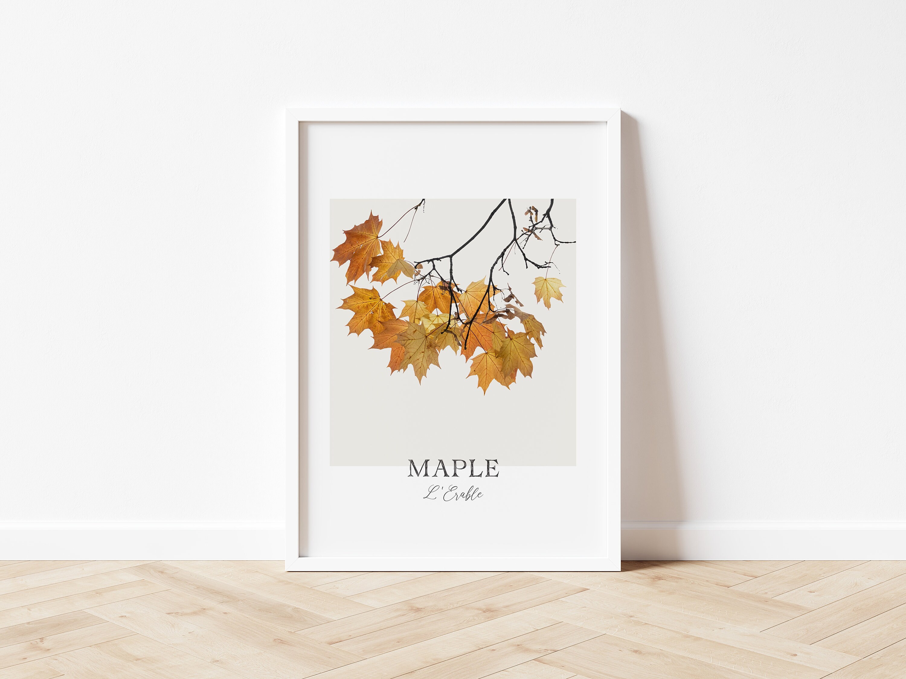 Maple Leaves Print, Printable Fall Decor, Botanical Wall Art, Foliage ...