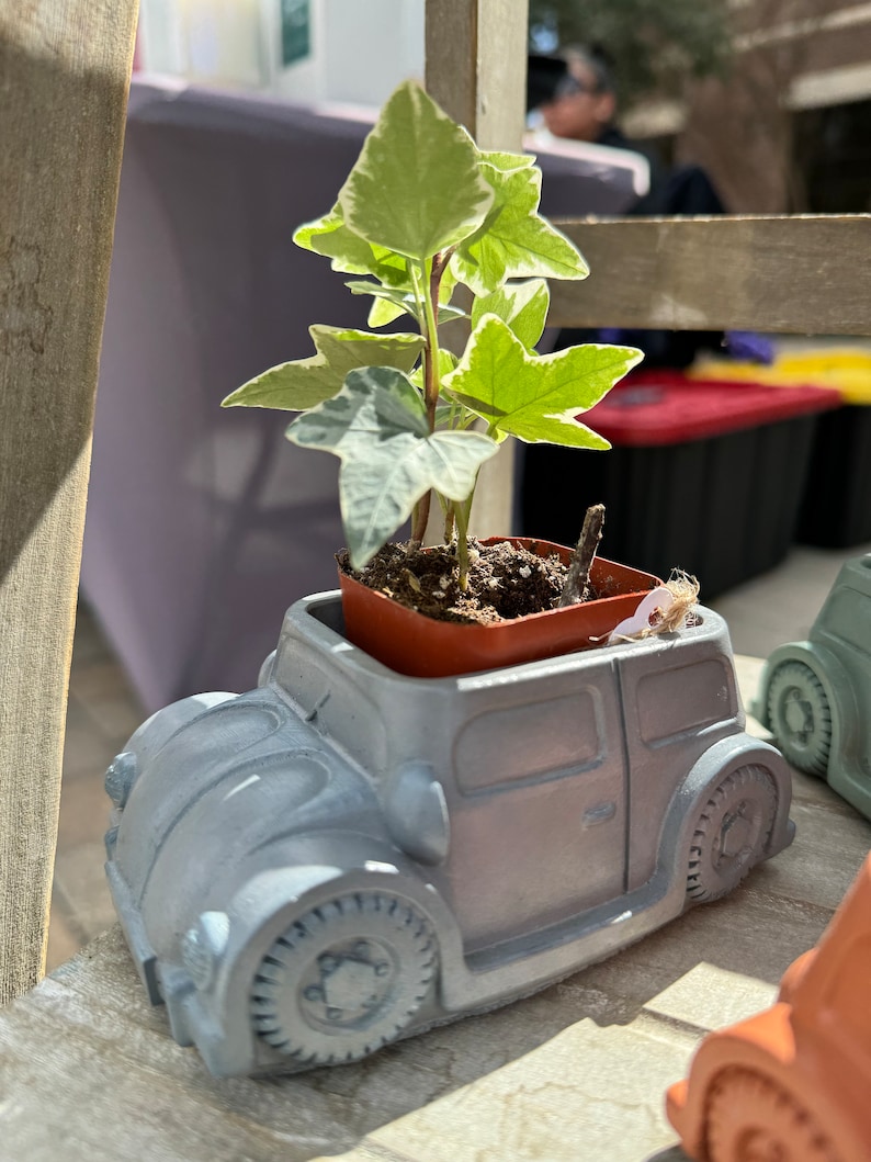 Concrete Car Planter - Etsy