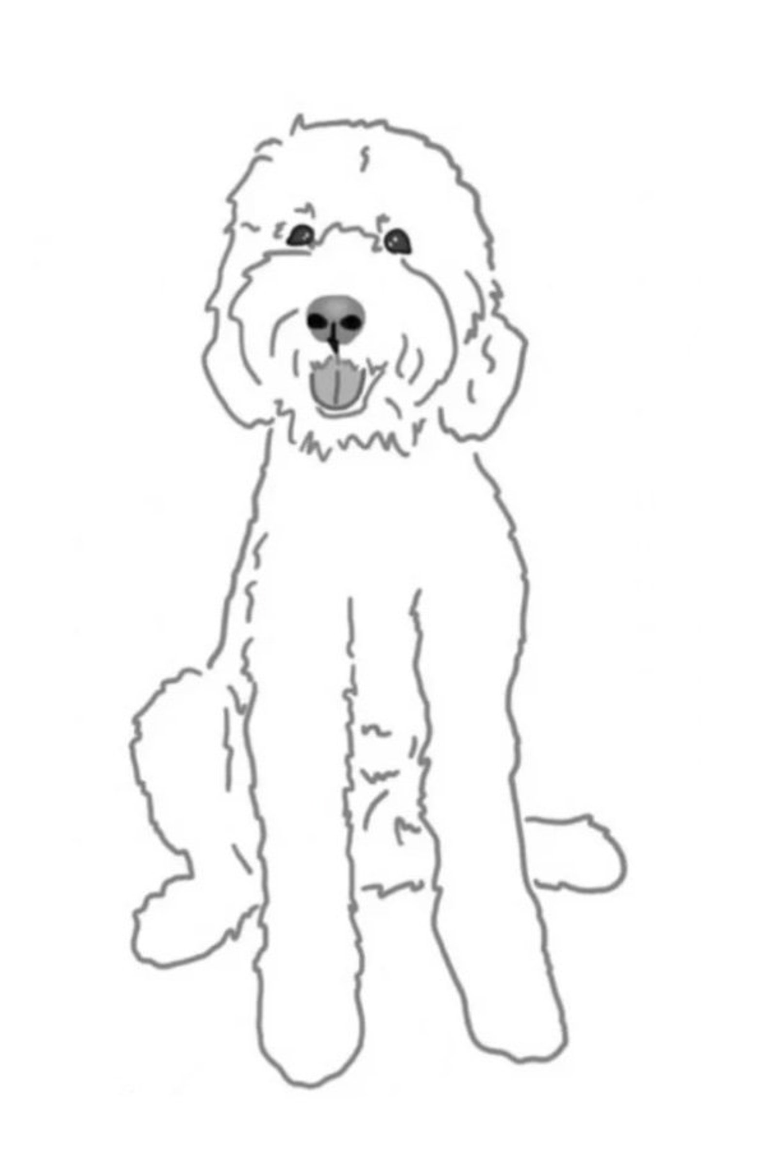 Coloring Pages | Goldendoodle | Digital, Downloadable Coloring Pages - Etsy