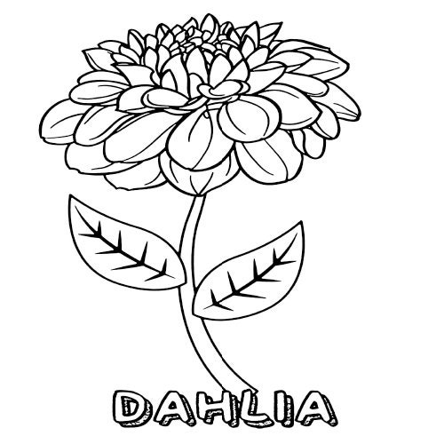 Flower Coloring Pages- 40 Page Coloring Book With Cover - Etsy