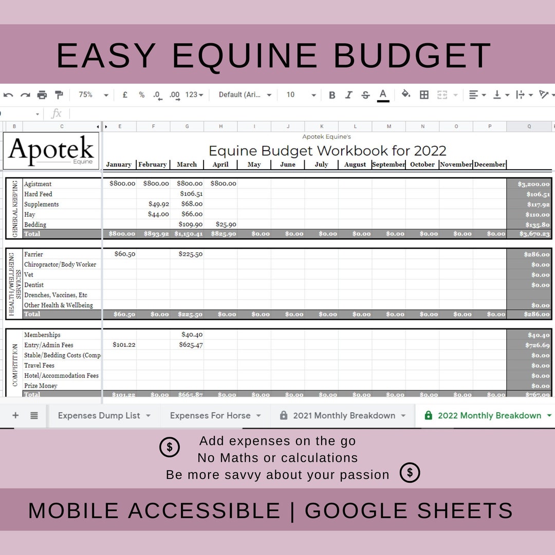 Equine Budget Spreadsheet 2024/25 - Etsy
