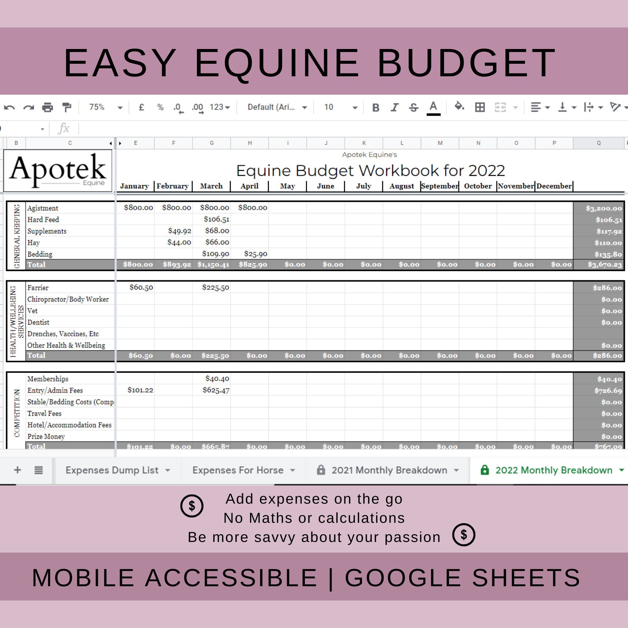 Equine Budget Spreadsheet - Etsy