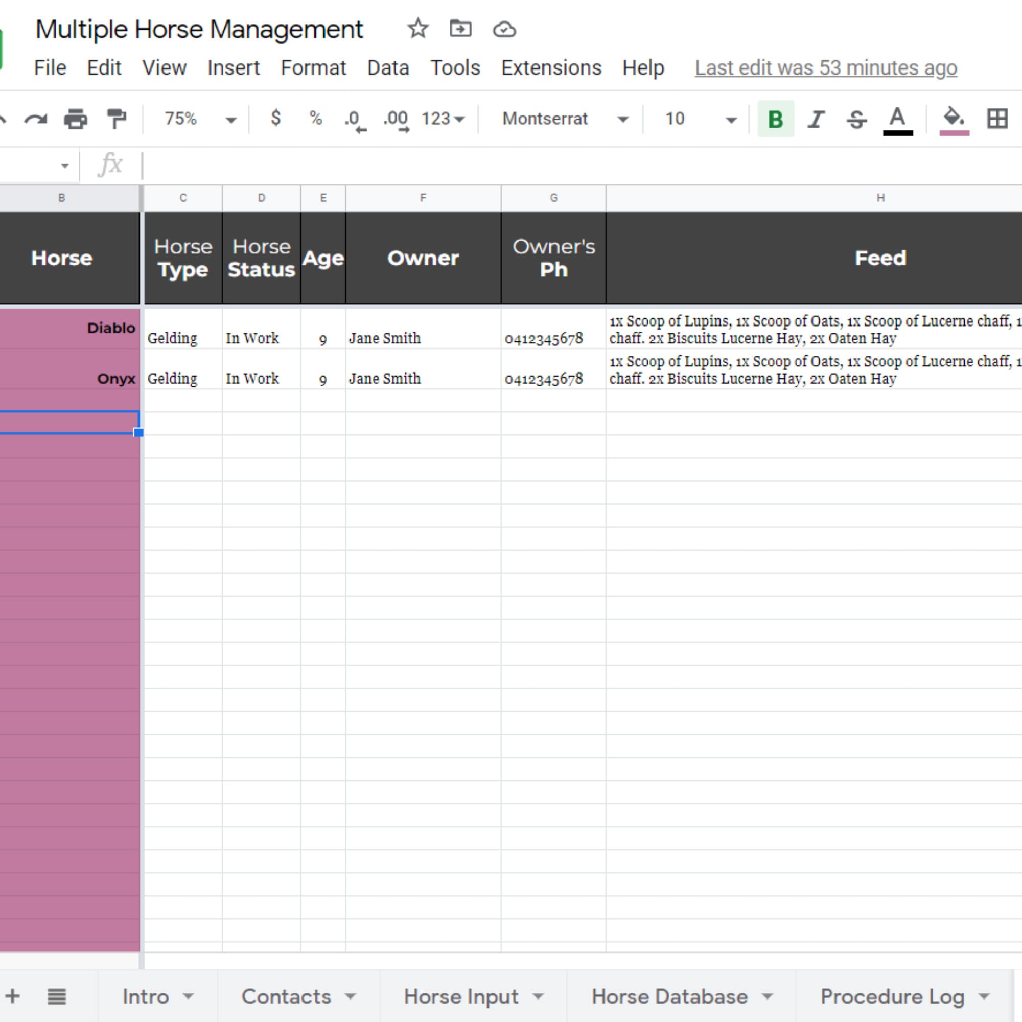 Multiple Horse Management Log Spreadsheet - Etsy