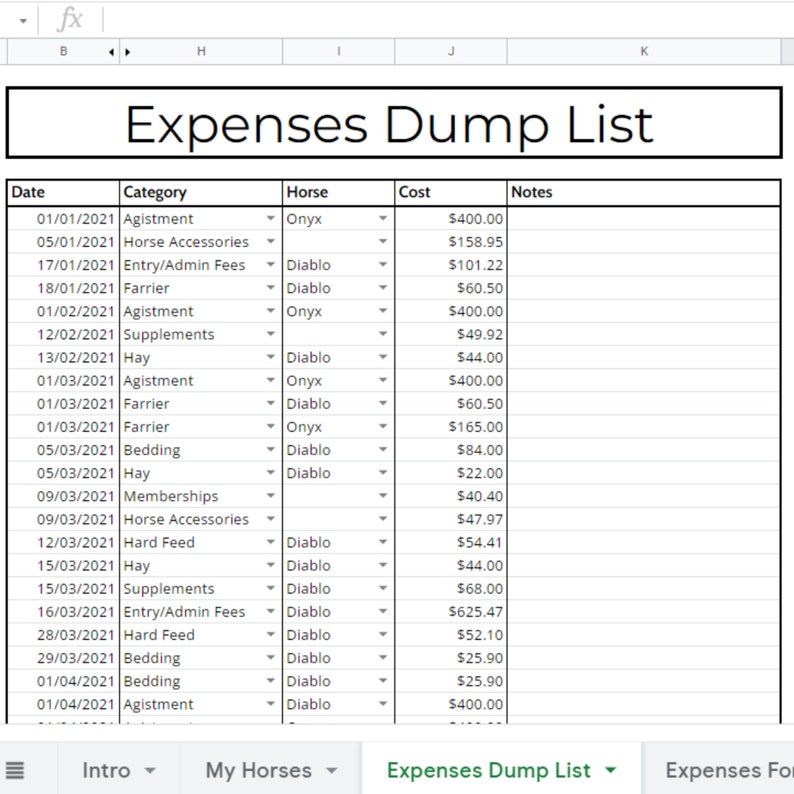 Equine Budget Spreadsheet 2024/25 - Etsy