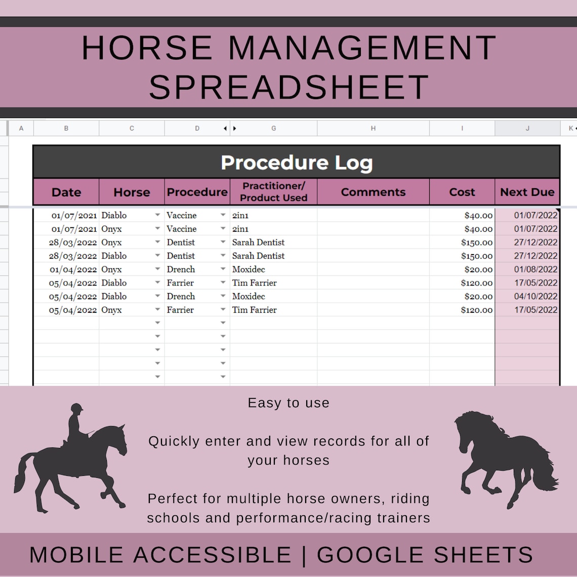 Multiple Horse Management Log Spreadsheet - Etsy