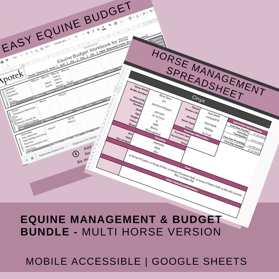 Bundle Equine Budget Spreadsheet & Equine Management Spreadsheet (multi ...