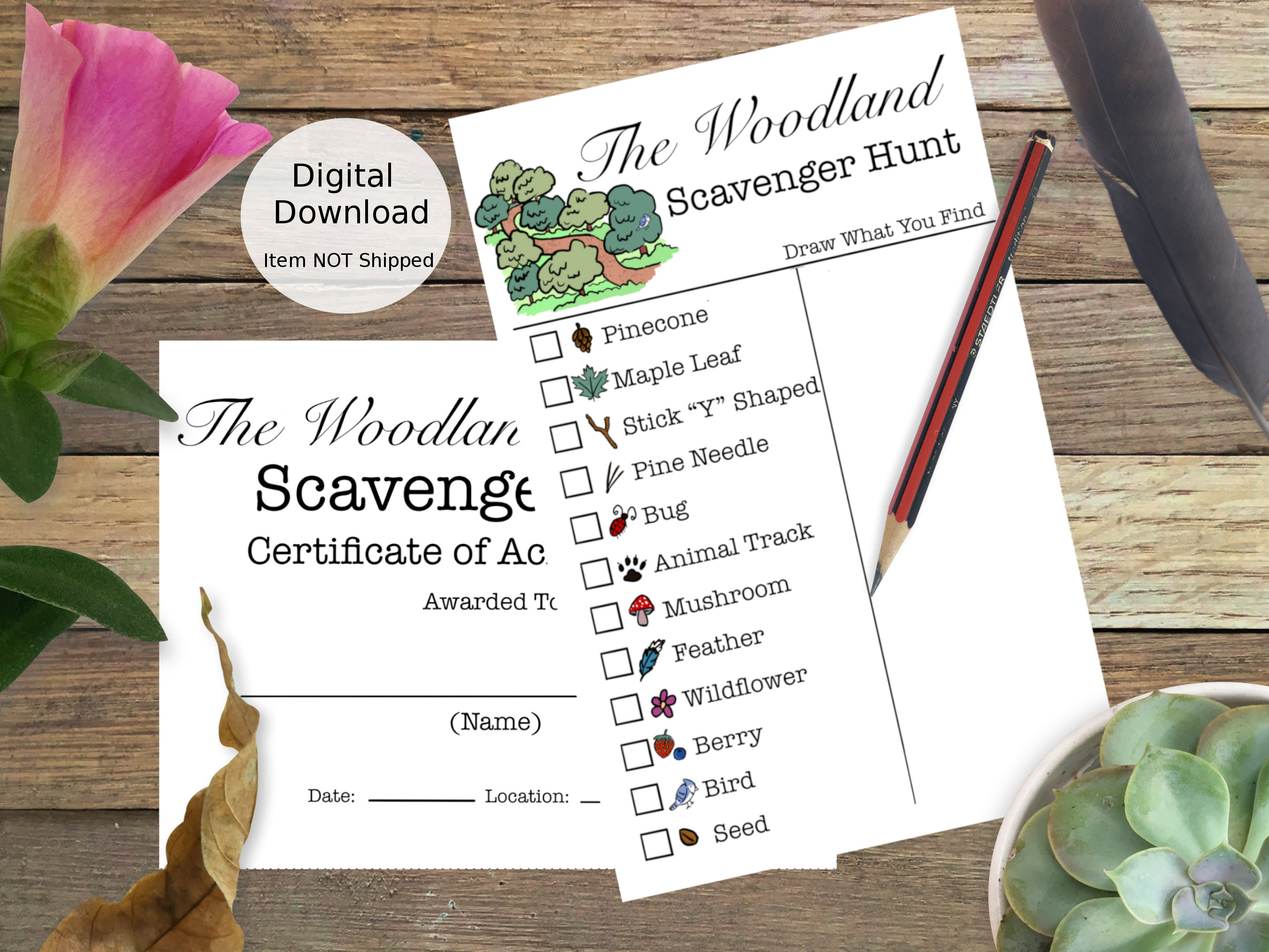 Woodland Scavenger Hunt Printable, Discovery and Explore Activities ...