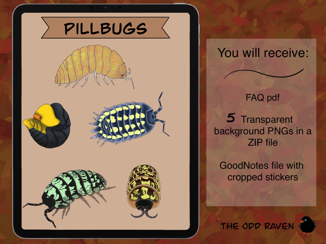 Pillbug Digital Stickers for Goodnotes, Animal Clip Art, Rolly Polly ...