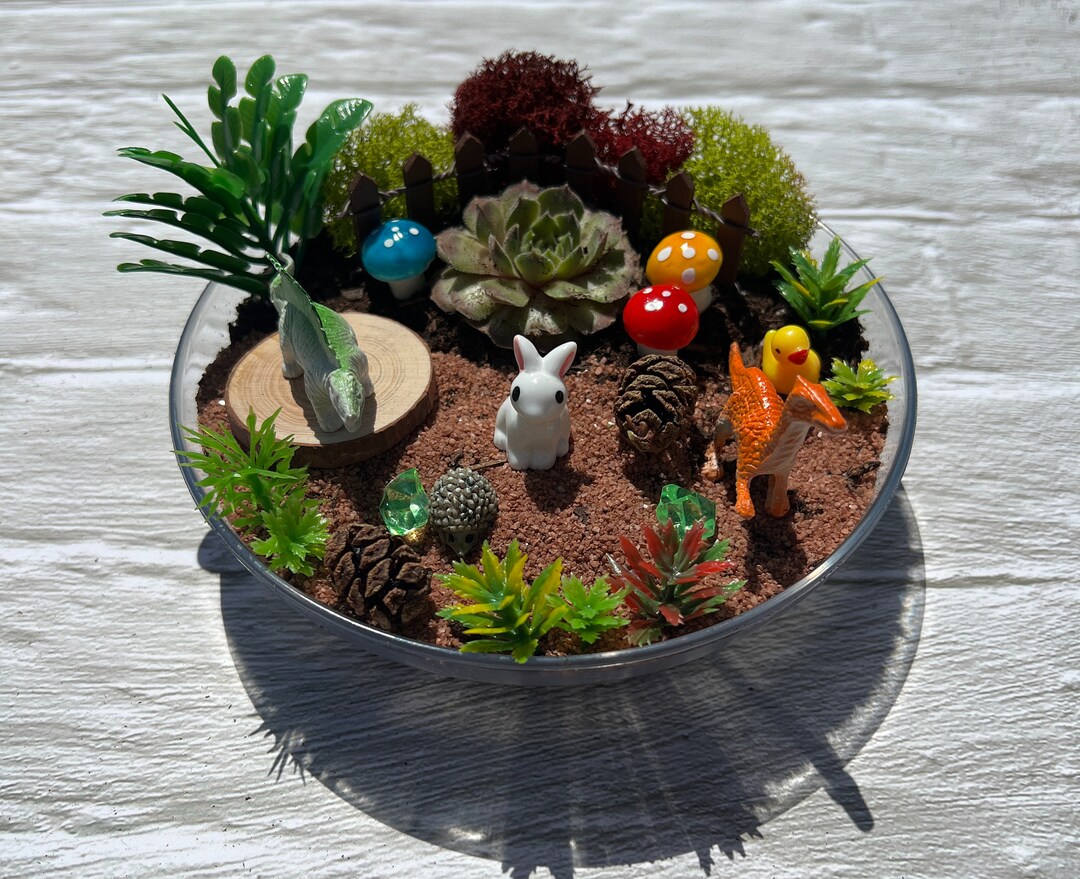 Dinosaur Succulent Garden Kit - Etsy