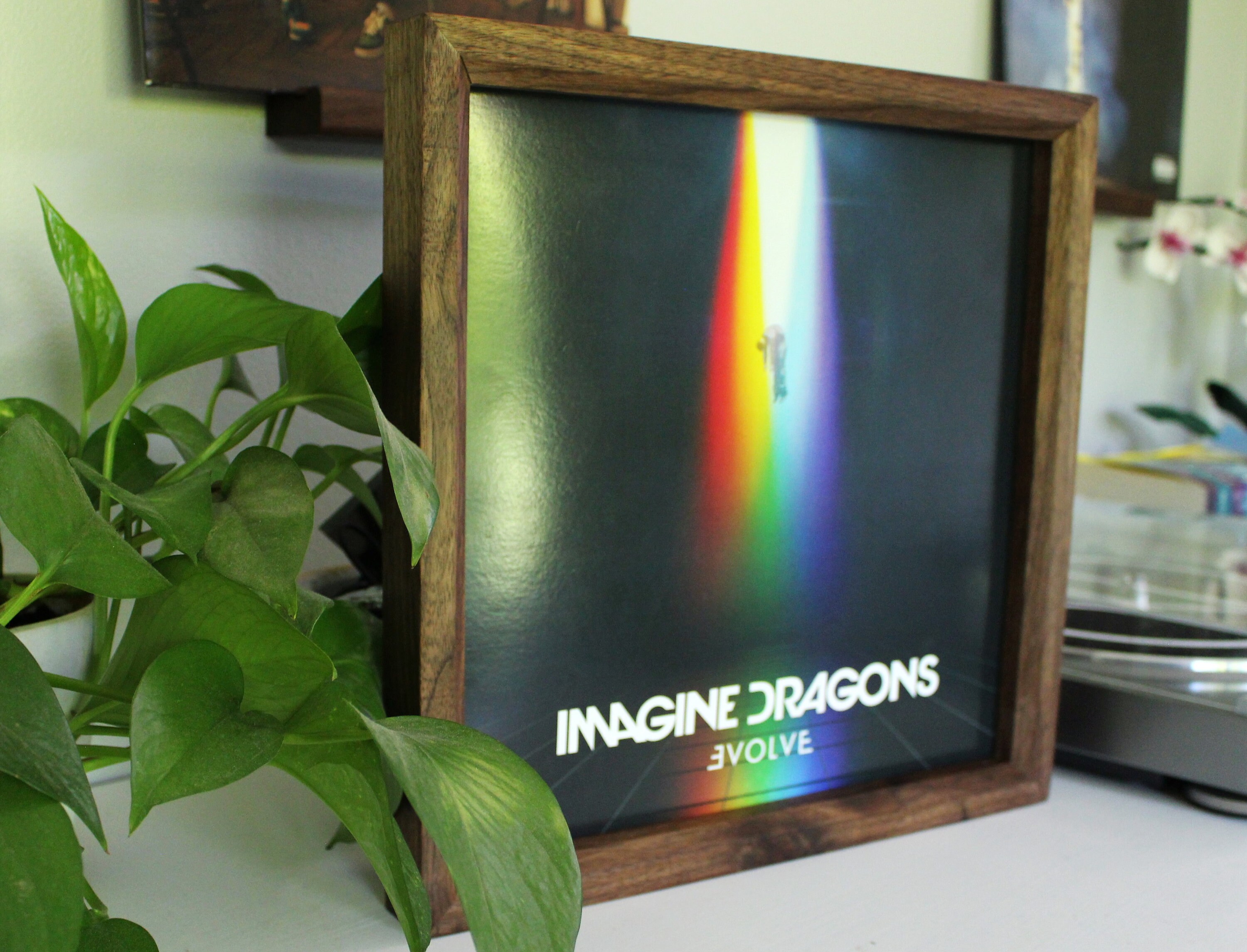 Record Frame, Vinyl Frame, Vinyl Wall Mount, Record Display, Vinyl ...