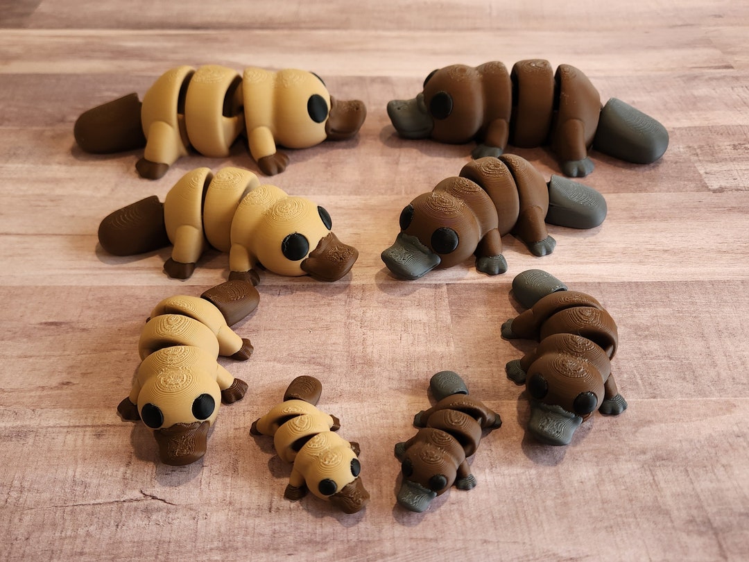 Baby Platypus - Articulated Fidget Toy Designed by Zou3d - Etsy