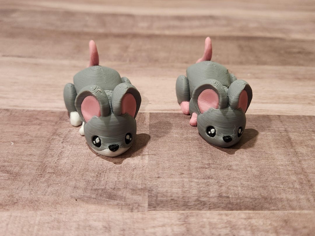 Cute Flexi Mouse - Articulated Mouse Fidget - Etsy