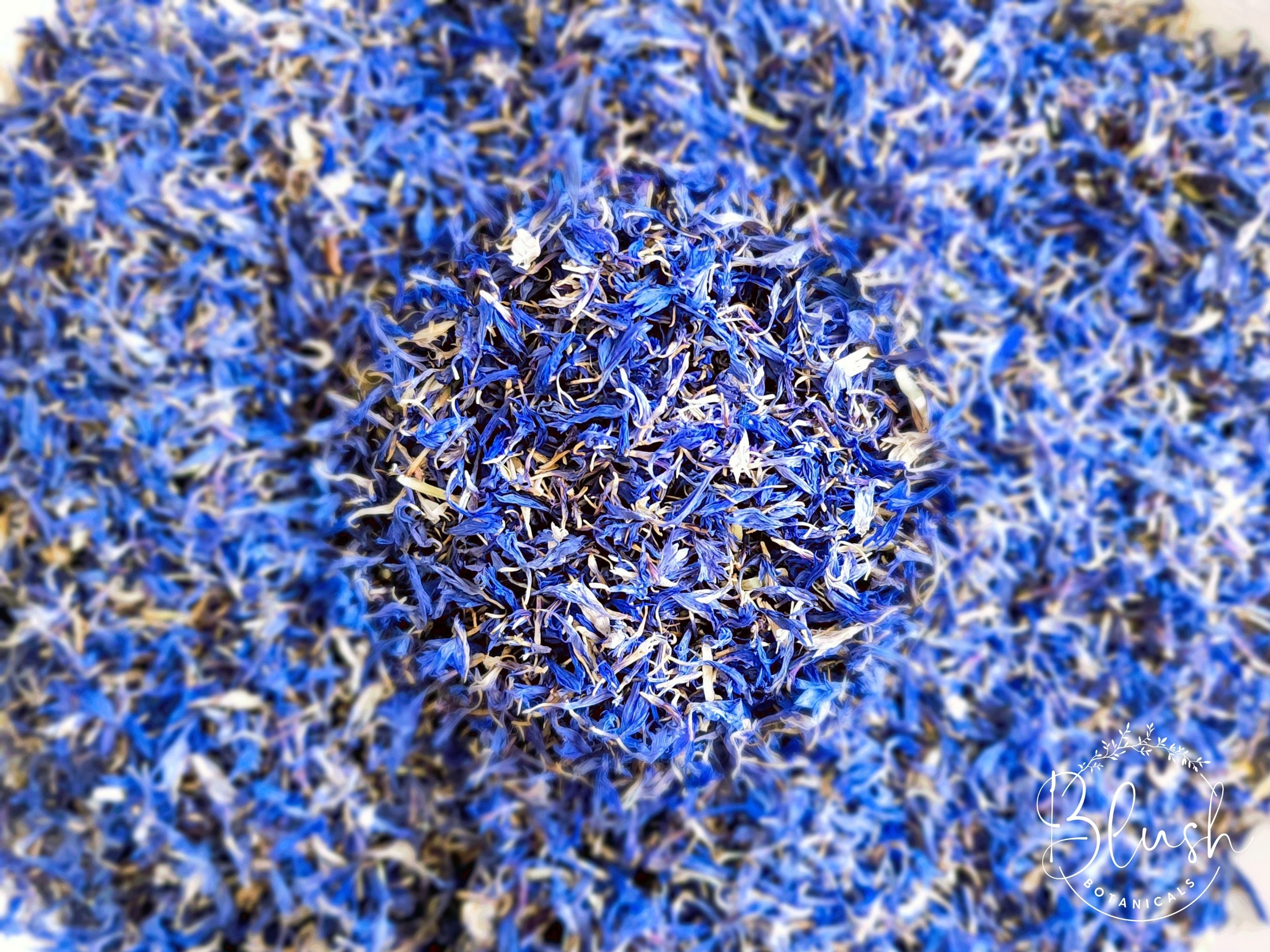 Blue Cornflower Petals, Dried Flowers, Craft, Natural Biodegradable ...