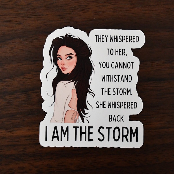 I Am the Storm - Etsy
