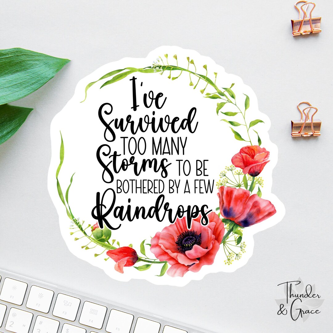 I Am the Storm Stickers, Warrior Quote, Womens Rights, Laptop Decal ...