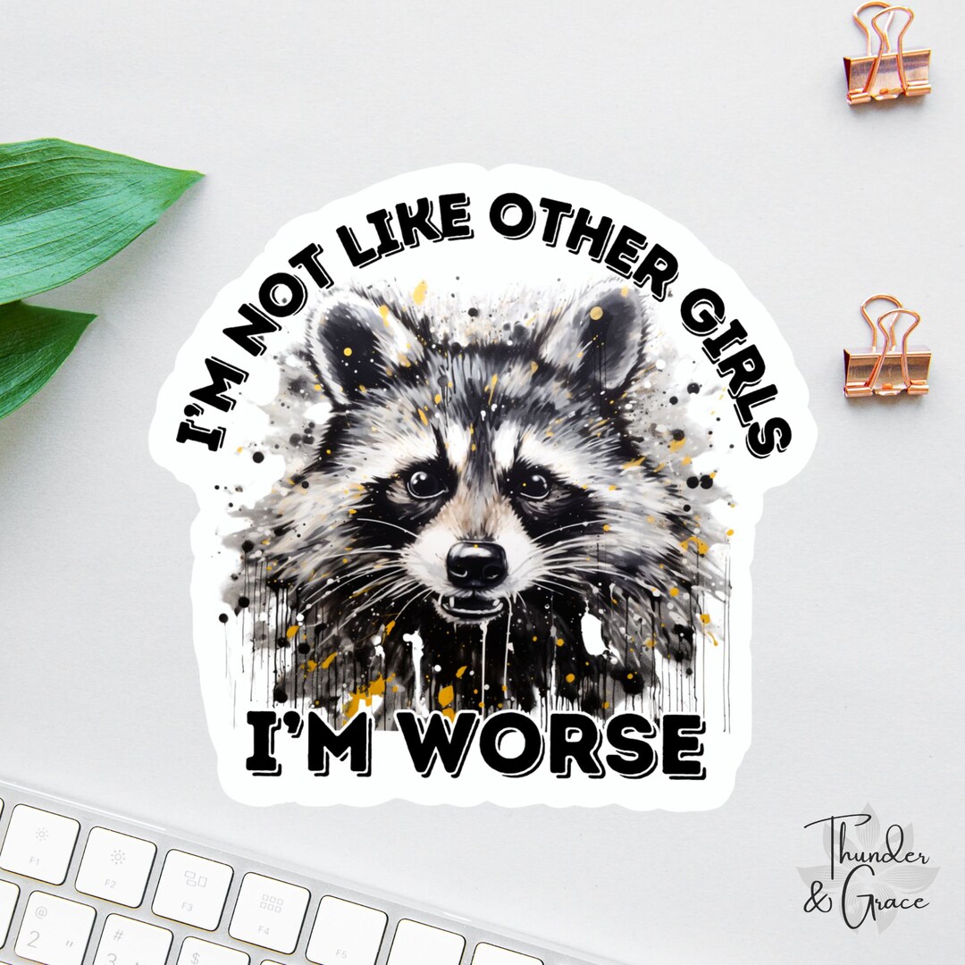 I'm Not Like Other Girls, I'm Worse Sticker, Funny Raccoon Sticker ...