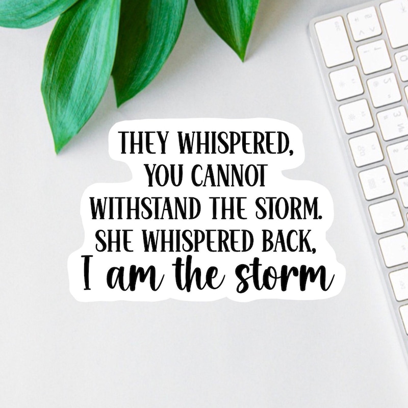 I Am the Storm - Etsy