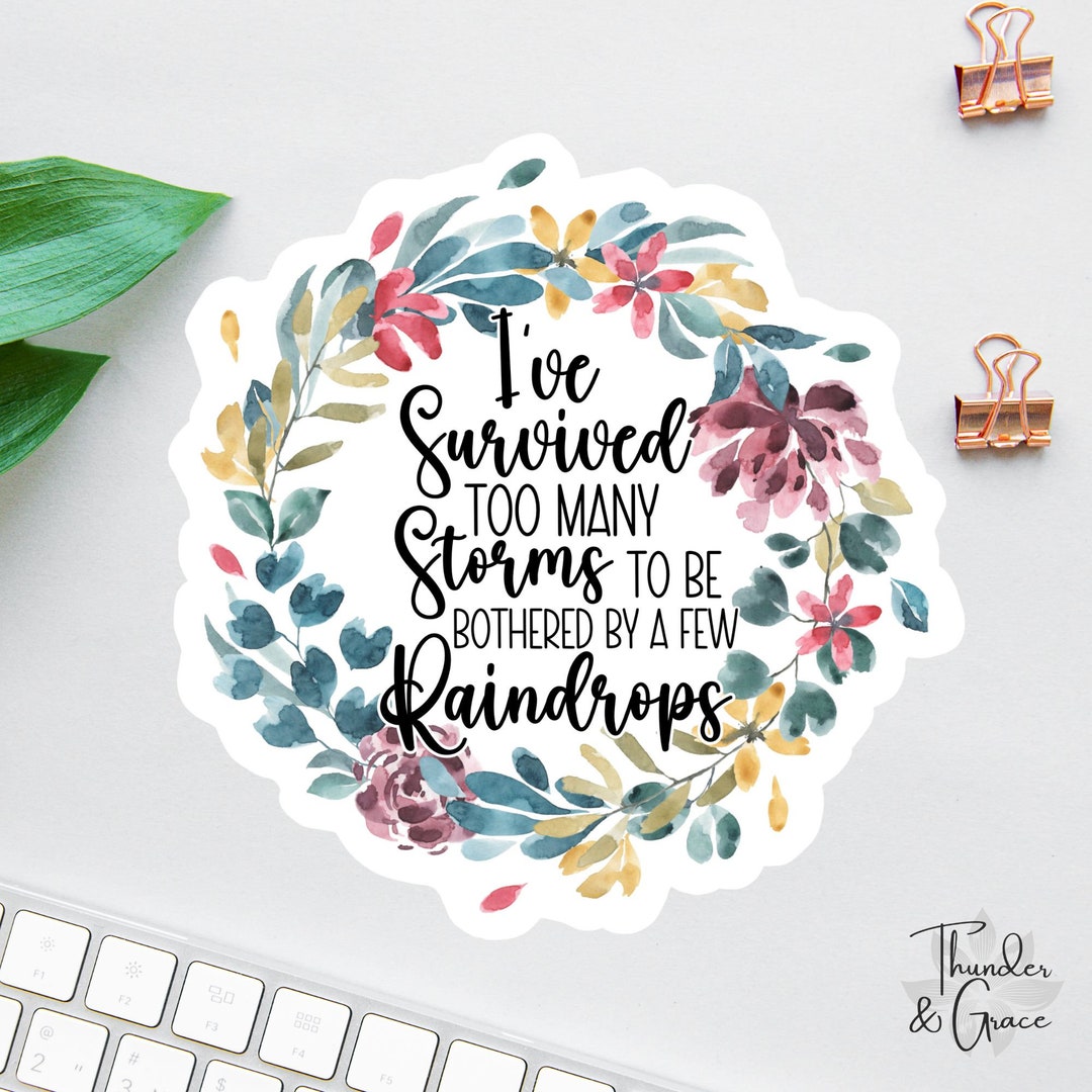 I Am the Storm Sticker, Warrior Quote, Womens Rights, Social Worker ...