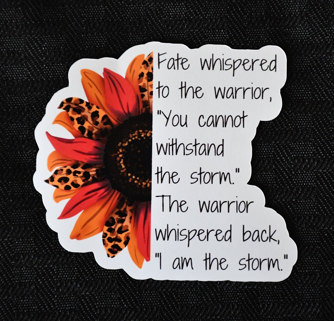 I Am the Storm Vinyl Stickers | Warrior Quote | Womens Rights ...