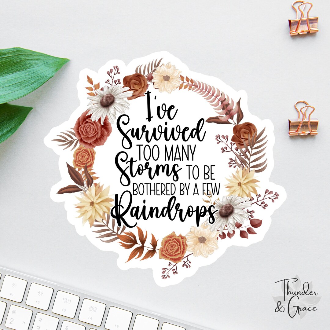 I Am the Storm Stickers, Therapist Gift, Womens Rights, Laptop Decal ...