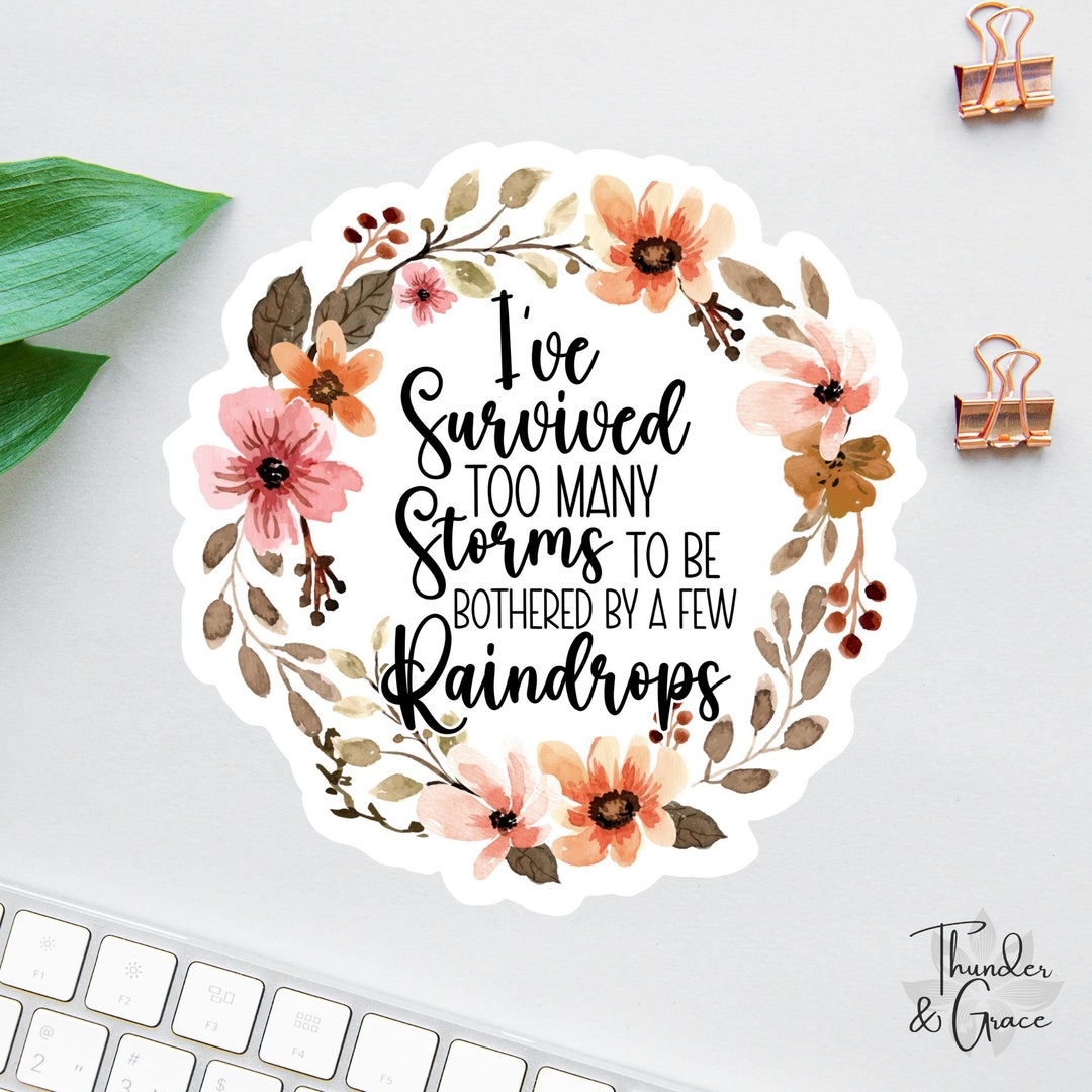 I Am the Storm Stickers, Womens Rights, Floral Laptop Sticker ...