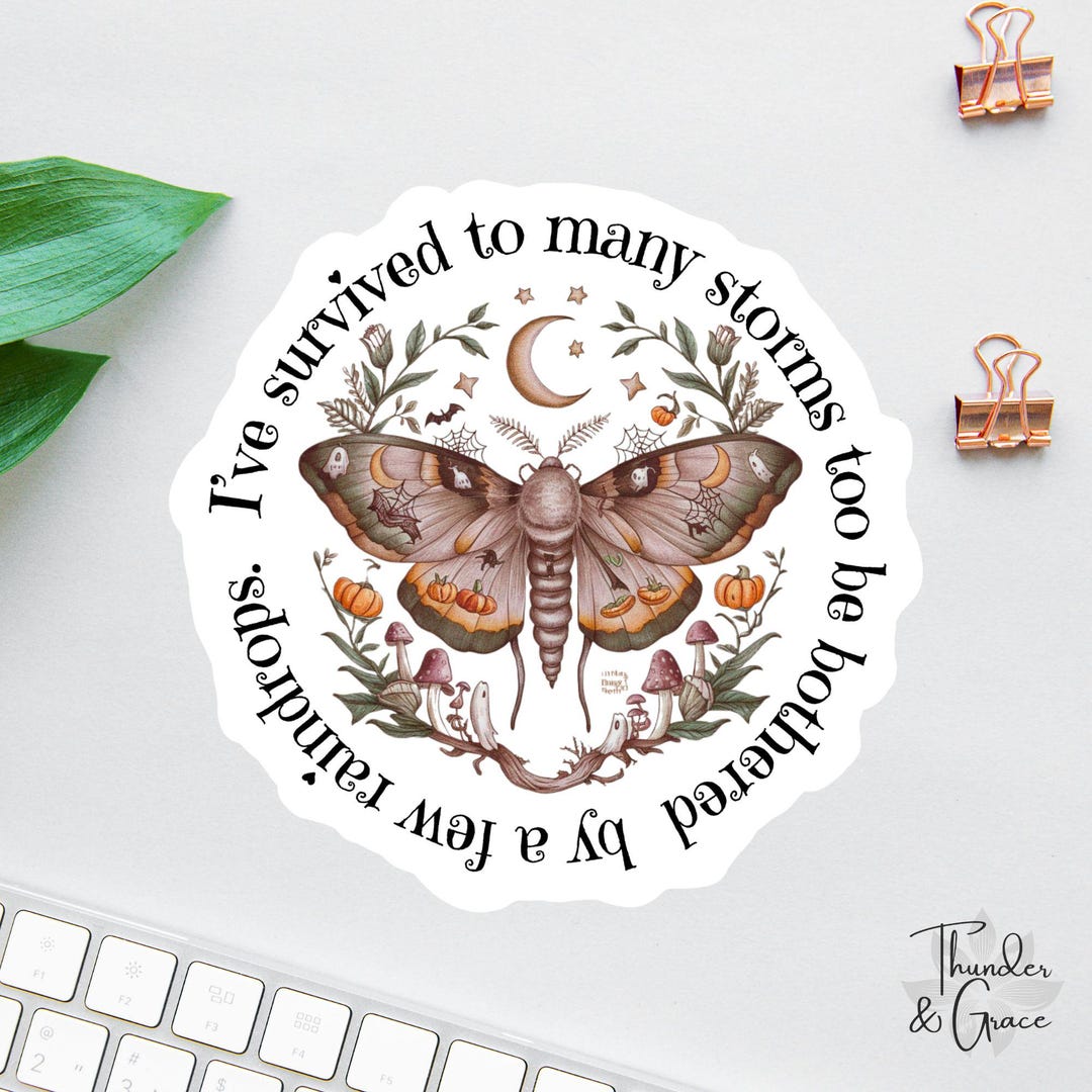 I've Survived Too Many Storms Stickers, Warrior Quote, Womens Rights ...