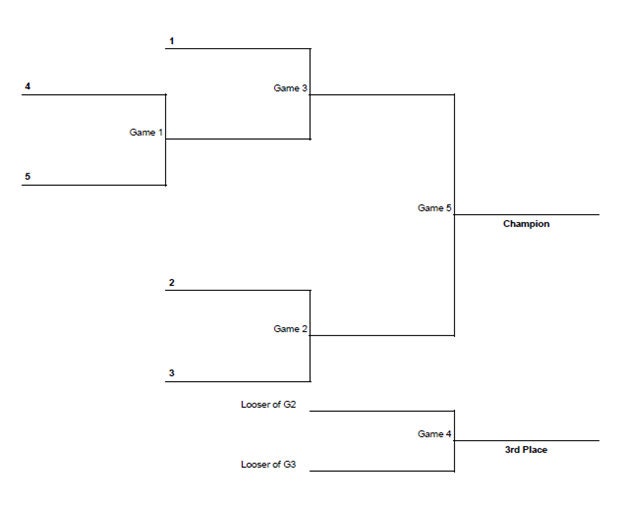 Instant Download: 10 Single and Double Elimination Playoff Bracket ...