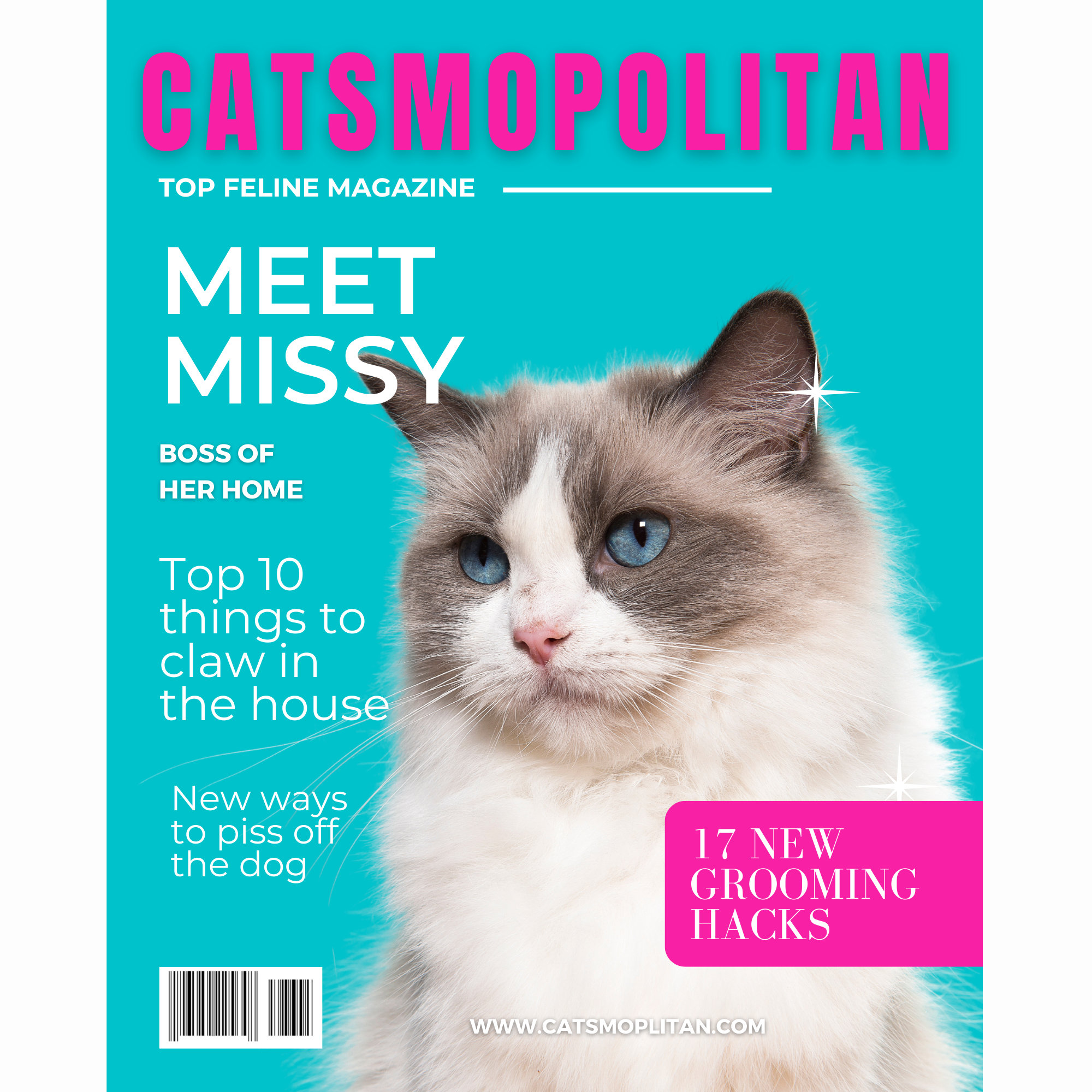 Custom Pet Magazine Cover/ Custom Dog Magazine/ Personalized Cat ...