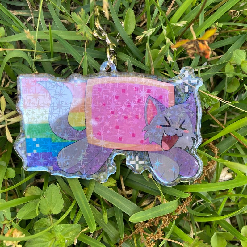 Nyan Cat Accessories - Etsy